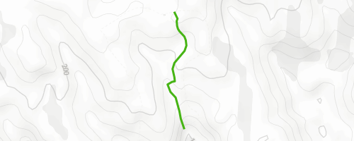 Big Timber Trail Hiking Trail - Kampsville, Illinois