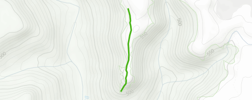 Raven Point Trail Multi Trail - Tracy CIty, Tennessee