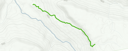 Stagecoach Road Historic Trail Multi Trail - Beersheba Springs