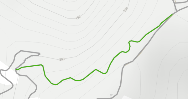 Te Whiti Riser Summit rd link Mountain Biking Trail - Lower Hutt