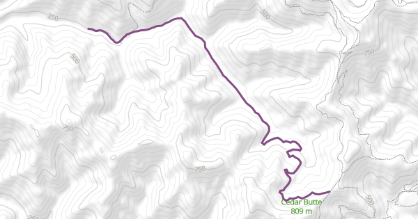 Kilchis River Forest Rd Multi Trail - Tillamook, Oregon
