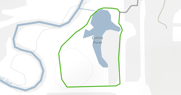Collins Pond Loop Trail Hiking Trail - Homer, Illinois
