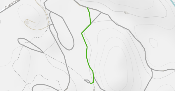 Troll Bridge Loop Skiing Trail - Easton, Washington