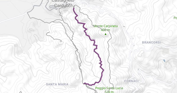 Via Nemorense - Tuscany Coast Park Summit Road Multi Trail - castagneto ...