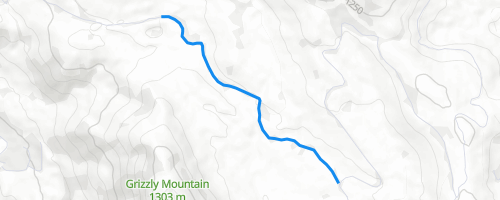 Rendezvous Basin Skiing Trail - Winthrop, WA