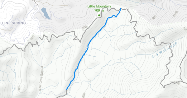 Little Brier Gap Trail Hiking Trail - Townsend, TN