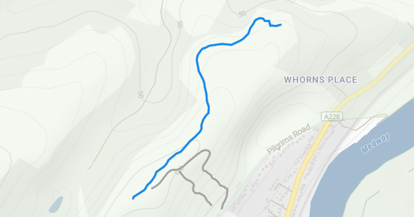 FungusAmongUs Mountain Biking Trail - cuxton