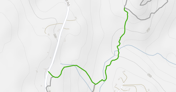 Surdam Farm White Trail Hiking Trail - New Hartford