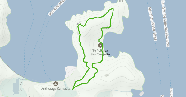 Pitt Head Loop Hiking Trail - Takaka | Trailforks