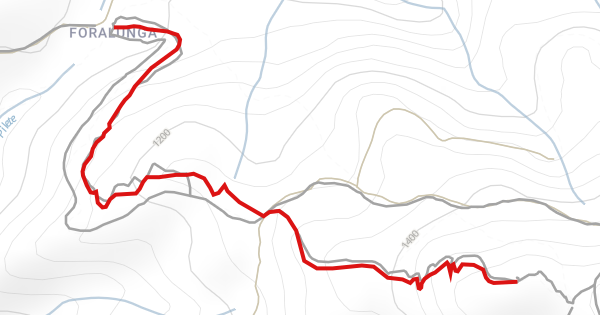 5_Cops Mountain Biking Trail - castagneto carducci