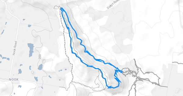 Raptor Ridge Mountain Biking Trail - Railton