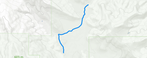 Murphy Meadow Trail Multi Trail - Blackhawk, CA