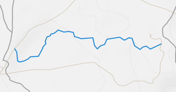 Vasa Single Track - Orange (kinglet) Multi Trail - Traverse City