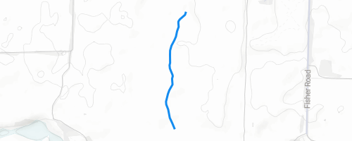 Wasa Bike Singletrack - Pine Tree Trail Multi Trail - Lake Ann