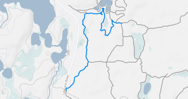 Wasa Bike Singletrack Multi Trail - Lake Ann, Michigan