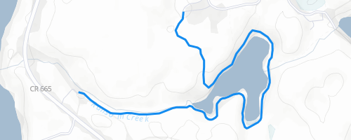 Ransom Lake Multi Trail - Lake Ann, Michigan