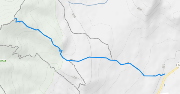 Carter Ledge Trail Hiking Trail - Conway, New Hampshire