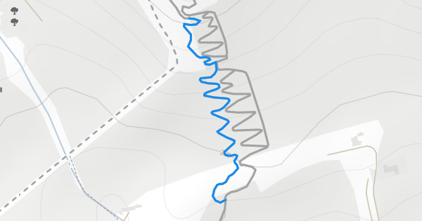 Snakes Mountain Biking Trail - Tarland | Trailforks