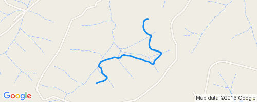 Wolf's Way Mountain Biking Trail - Dungog | Trailforks