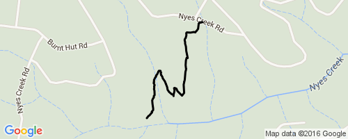 Send in the Clowns Mountain Biking Trail - Wingello