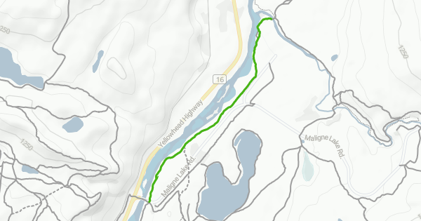 Trail 7 (Moberly bridge to 6th Bridge) Multi Trail - Jasper