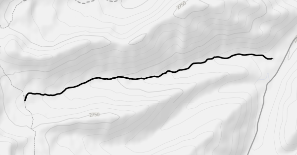 Apollo Creek Horseback Trail - Baker, Ketchum, Idaho