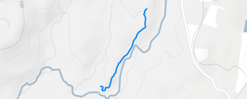 Brave Ulysses (South) Multi Trail - Wallingford, CT