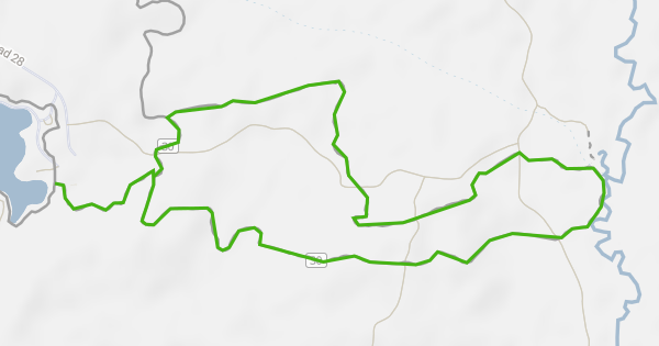 Conecuh South Loop Trail Multi Trail - - Alabama