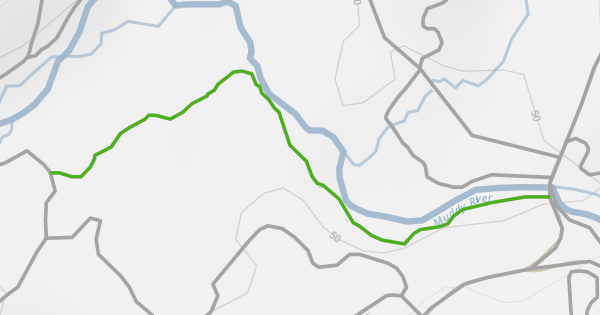 Red Swamp (Seasonal) Multi Trail - Wallingford, CT