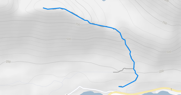 Slaughter Ridge Trail Hiking Trail - Cooper Landing, AK