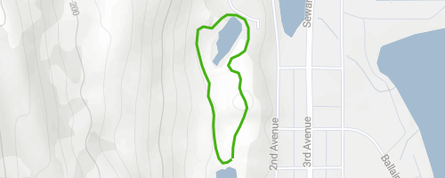 Two Lake Loop Trail Multi Trail - Seward, Alaska