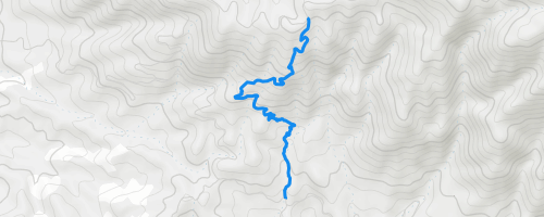 Fascination Spring Trail Hiking Trail - Tujunga, CA