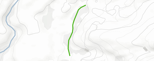 Stumpy's Upper Trail Multi Trail - Girdwood, Alaska