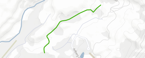 Stumpy's Lower Trail Multi Trail - Girdwood, Alaska