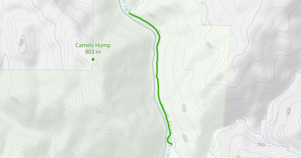 Indian Creek Trail Hiking Trail - Auburn, California