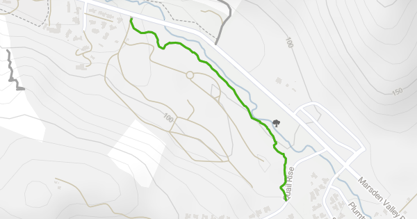 Marsden Cemetery Deer Fence Track Multi Trail - Nelson