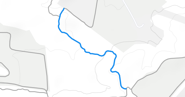 Quail Run Multi Trail - Millstone, New Jersey