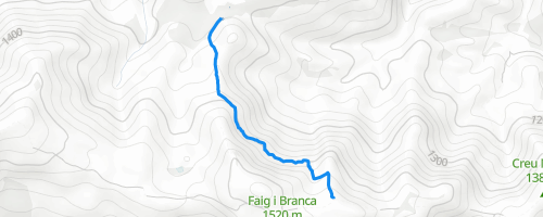 Selva Baga d'Ardericó Mountain Biking Trail