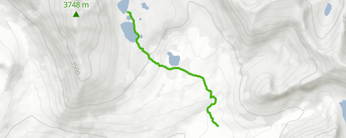 Pioneer Basin Trail Hiking Trail - Wilsonia, California