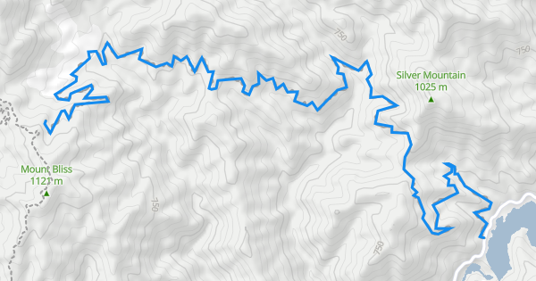 Silver Fish Truck Trail Hiking Trail - Azusa, CA