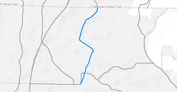 Red / Yellow Horse Trail Multi Trail - Milton, Florida