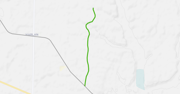 NCT Trail Mountain Biking Trail - - Michigan