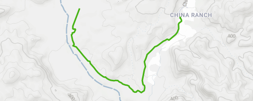 Amargosa River Trail Mountain Biking Trail - Tecopa, CA