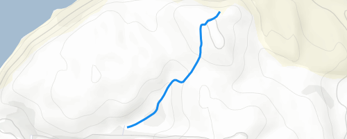 Pyramid Point Trail Multi Trail - Glen Arbor, Michigan