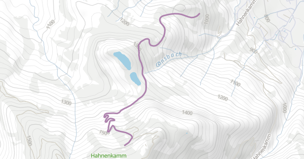 Streif Familienabfahrt Skiing Trail - Hinterglemm