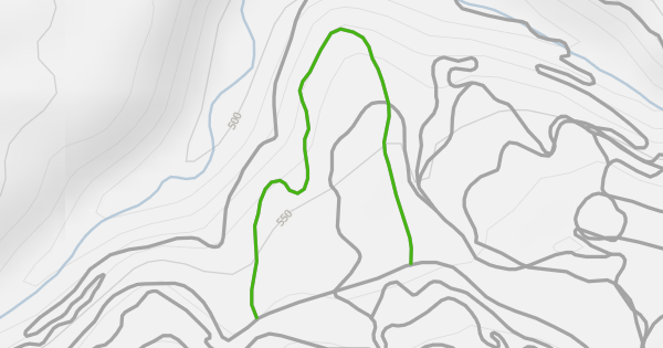 Dinkey Multi Trail - Durham, Georgia | Trailforks