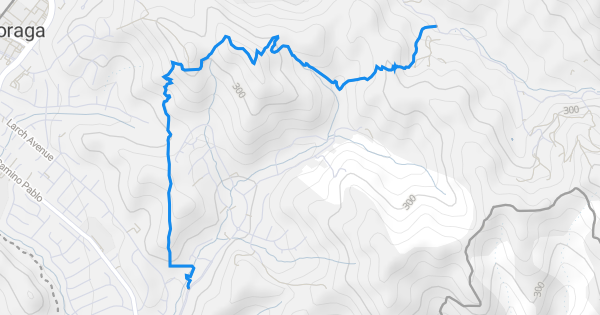 Old Moraga Ranch Trail Multi Trail - Moraga, CA