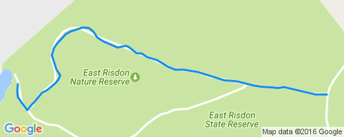 Porters Bay Descent Mountain Biking Trail - Hobart