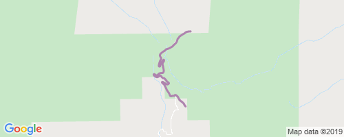 Twin Peaks road - upper Mountain Biking Trail - Wenatchee, WA