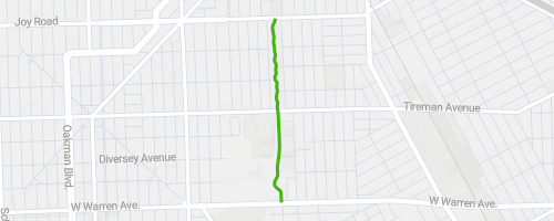 Joe Louis Greenway Multi Trail - Detroit, MI